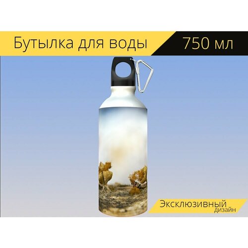 Бутылка фляга для воды "Слизь плесень, микро, макрос" 750 мл. с карабином и принтом