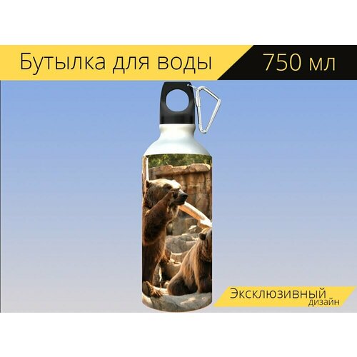 Бутылка фляга для воды "Медведь, медведи, зоопарк" 750 мл. с карабином и принтом