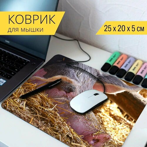 Коврик для мыши с принтом "Свинья, животное, млекопитающее" 25x20см.