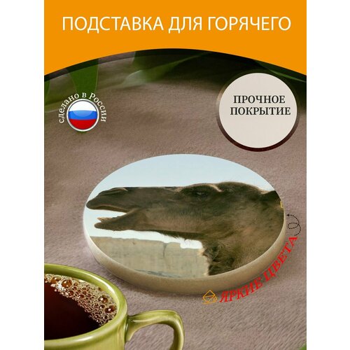 Подставка под горячее "Казахстан, верблюд, пустыня" 10 см. из блого мрамора