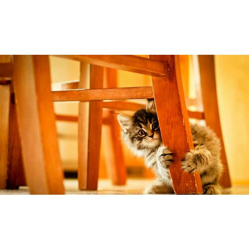 Картина на холсте 60x110 LinxOne "Котенок кот кошка стул игра" интерьерная для дома / на стену / на кухню / с подрамником