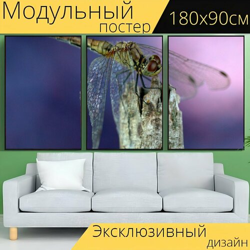 Модульный постер "Стрекоза, флюгер, насекомое" 180 x 90 см. для интерьера