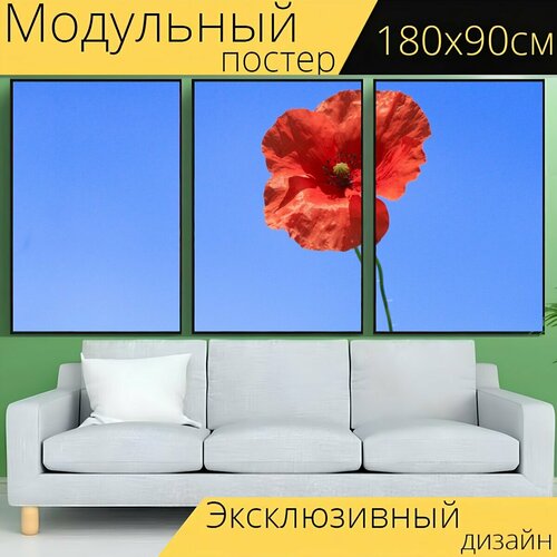 Модульный постер "Мак, красный цветок, цветок" 180 x 90 см. для интерьера