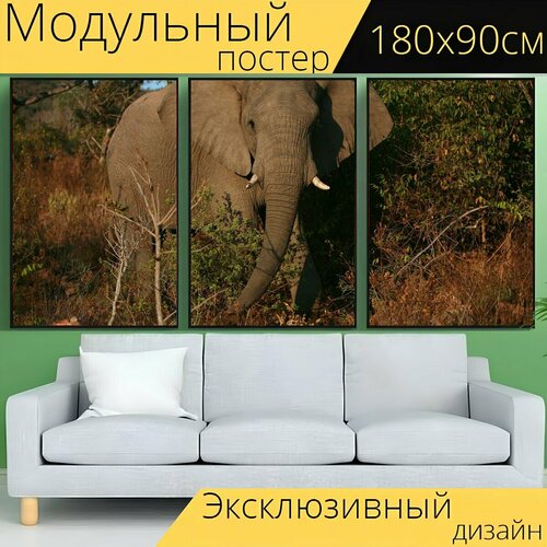 Модульный постер "Слон, африка, сафари" 180 x 90 см. для интерьера