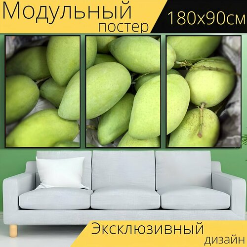 Модульный постер "Манго, зеленый манго, фрукты" 180 x 90 см. для интерьера