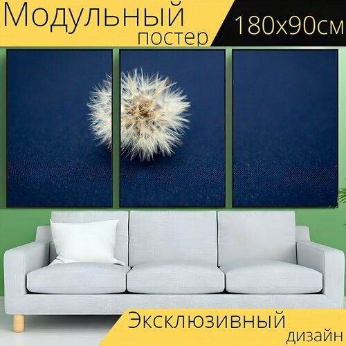 Модульный постер "Одуванчик, цветок, семя" 180 x 90 см. для интерьера