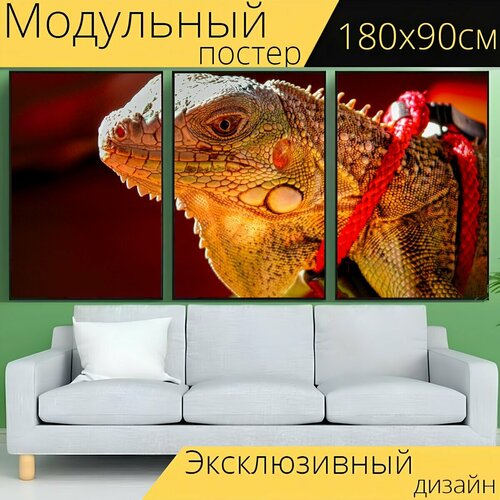 Модульный постер "Ящерица, рептилия, животное" 180 x 90 см. для интерьера