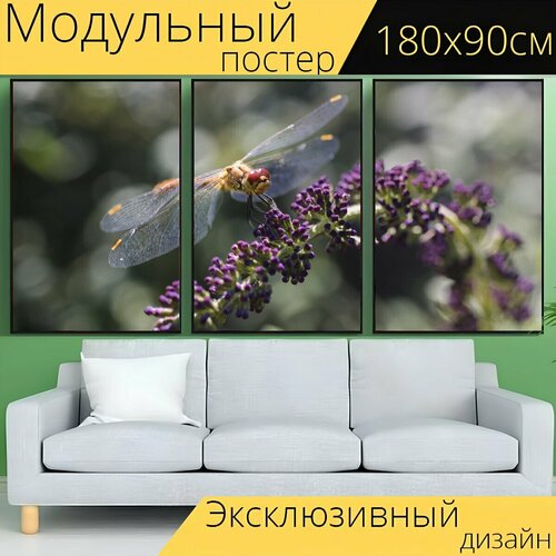 Модульный постер "Стрекоза, насекомое, цветы" 180 x 90 см. для интерьера