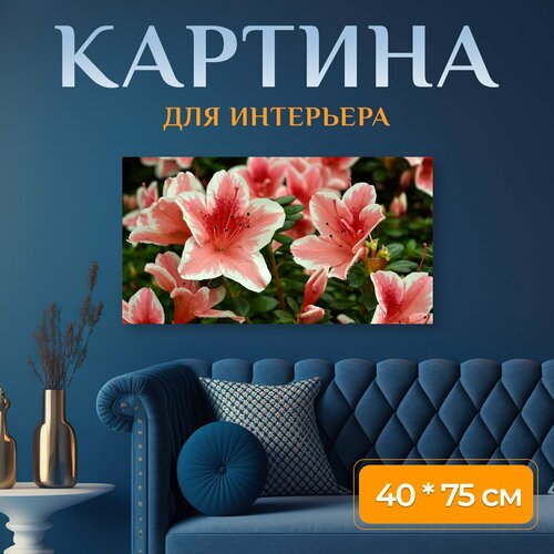 Картина на холсте "Цветок, весенний цветок, розовый" на подрамнике 75х40 см. для интерьера