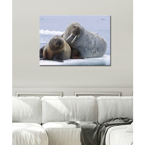 Картина - Морж, морж в воде, моржик (14) 20х30