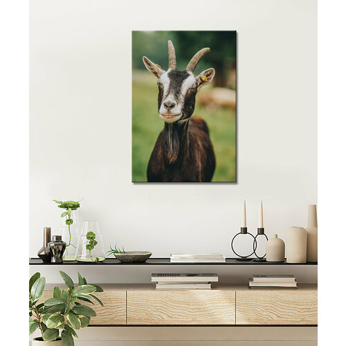 Картина -Коза, козел, коричневый козел, коричневая коза (6) 40х60