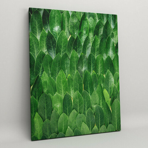 Картина на холсте (интерьерный постер) "Текстура - зеленые листья", с деревянным подрамником, размер 45x60 см