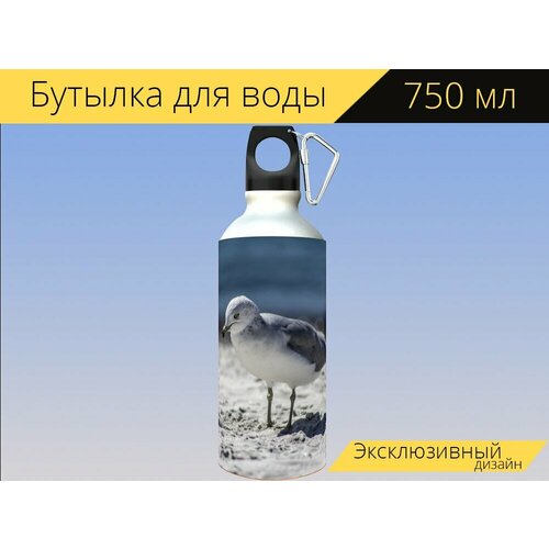 Бутылка фляга для воды "Чайка, пляж, птица" 750 мл. с карабином и принтом