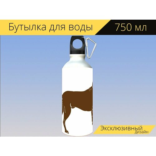 Бутылка фляга для воды "Собака, лабрадор, браун" 750 мл. с карабином и принтом