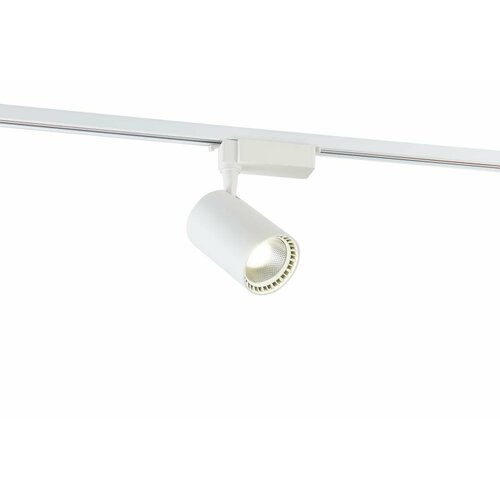 LED однофазный трековый светильник Simple Story 2010-LED20TRW