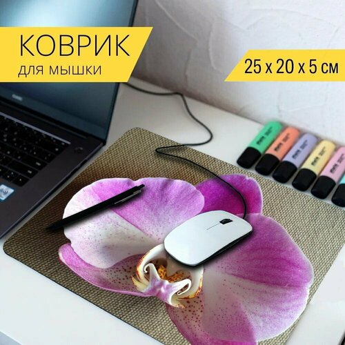 Коврик для мыши с принтом "Цветок, фиолетовый, орхидея" 25x20см.