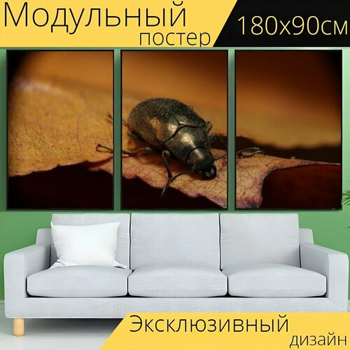 Модульный постер "Жук, природа, насекомые" 180 x 90 см. для интерьера