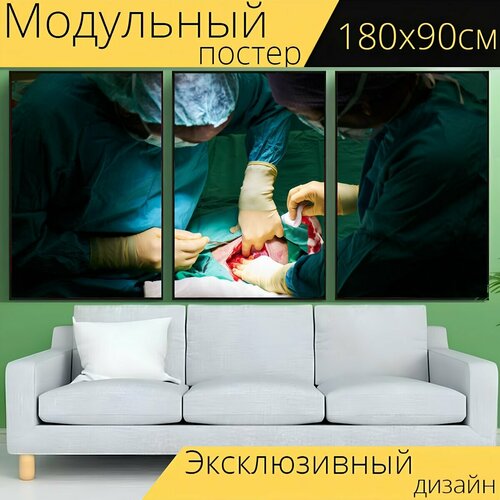 Модульный постер "Операции, больница, доктор" 180 x 90 см. для интерьера