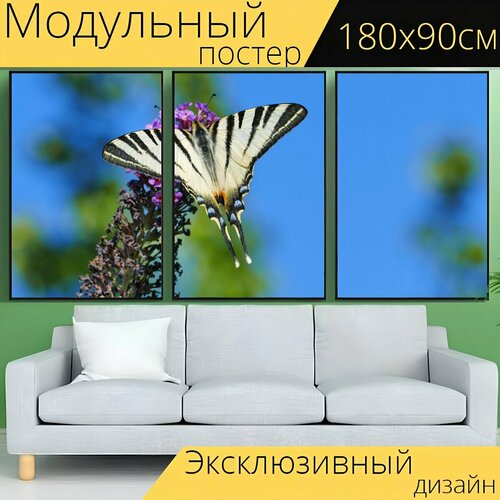 Модульный постер "Цветок, бабочка, насекомое" 180 x 90 см. для интерьера