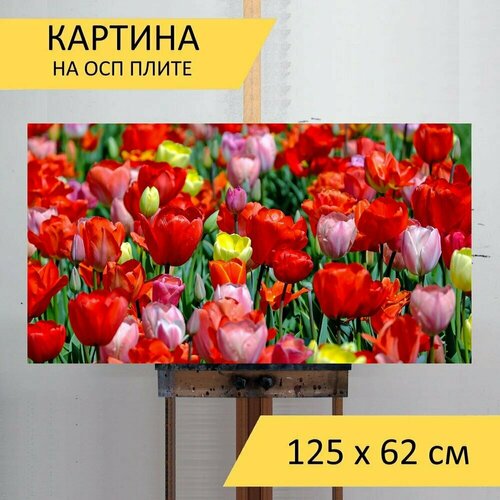 Картина на ОСП 125х62 см. "Тюльпаны, цветы, поле" горизонтальная, для интерьера, с креплениями