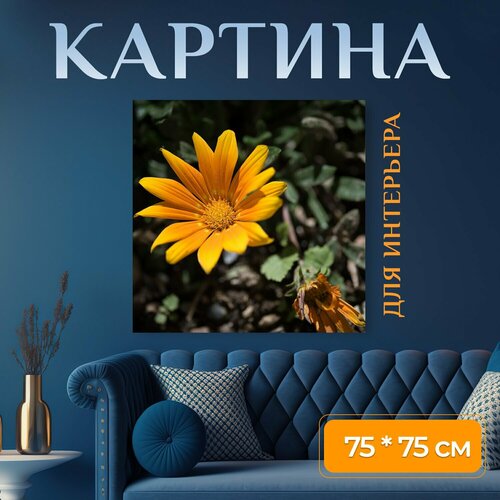 Картина на холсте "Цветок, апельсин, оранжевый цветок" на подрамнике 75х75 см. для интерьера