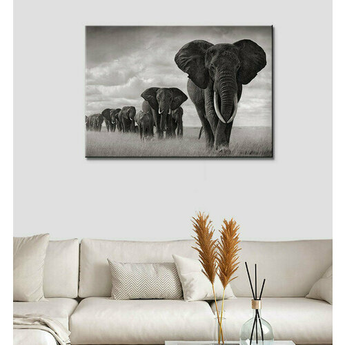 Интерьерная картина на холсте на стену Слоны в саванне черно-белый арт 60х80