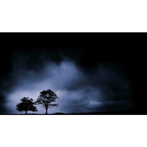 Картина на холсте 60x110 Альянс Лес "Деревья ночь тучи" на подрамнике / интерьер/ декор