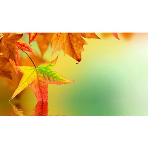 Картина на холсте 60x110 LinxOne "Осень блюр листья отражение вода" интерьерная для дома / на стену / на кухню / с подрамником