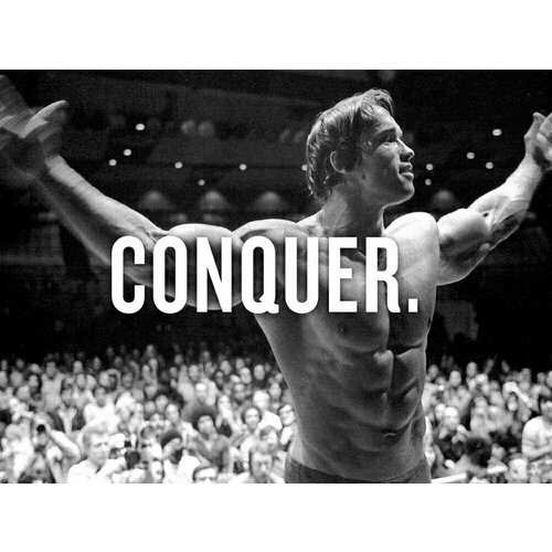 Плакат, постер на холсте Bodybuilding/Schwarzenegger/Conquer/спорт. Размер 21 х 30 см