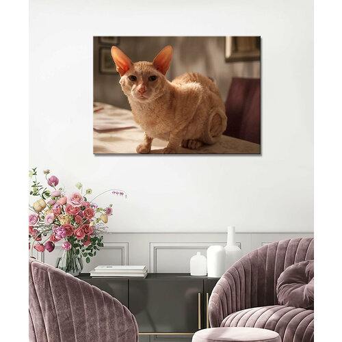 Картина - кошка, корниш-рекс, волнистая шерсть, короткошёрстная кошка, домашняя кошка, ласковая кошка, кот (146) 20х30