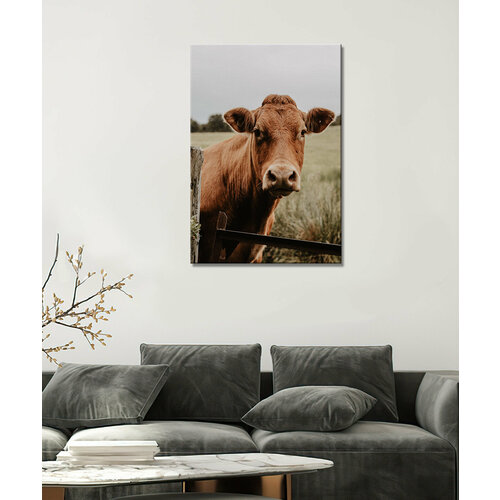 Картина - Корова, коричневая корова, корова на пастбище, бык (7) 40х60