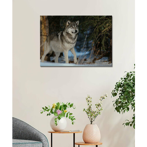 Картина/Картина на холсте для интерьера/Картина на стену/Картина для кухни/ - Волк (39) 50х70