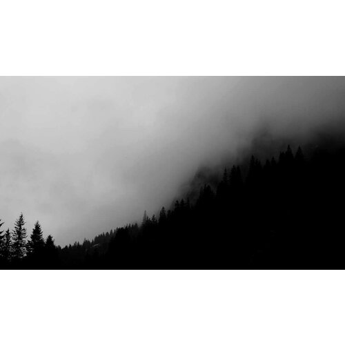 Картина на холсте 60x110 Альянс Лес "Деревья туман лес" на подрамнике / интерьер/ декор