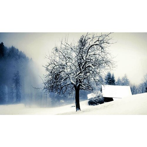 Картина на холсте 60x110 Альянс Лес "Зима снег дом дерево" на подрамнике / интерьер/ декор