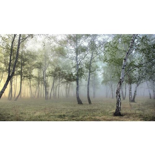 Картина на холсте 60x110 LinxOne "Деревья берёзы в тумане" интерьерная для дома / на стену / на кухню / с подрамником