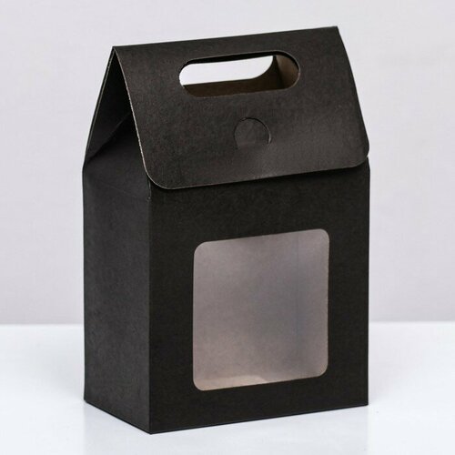 UPAK LAND Коробка-пакет с окном, черный, 15 х 10 х 6 см