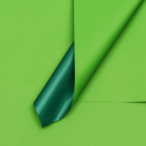 Пленка двухсторонняя 0,57 х 0,57 см зелёный (комплект из 40 шт)