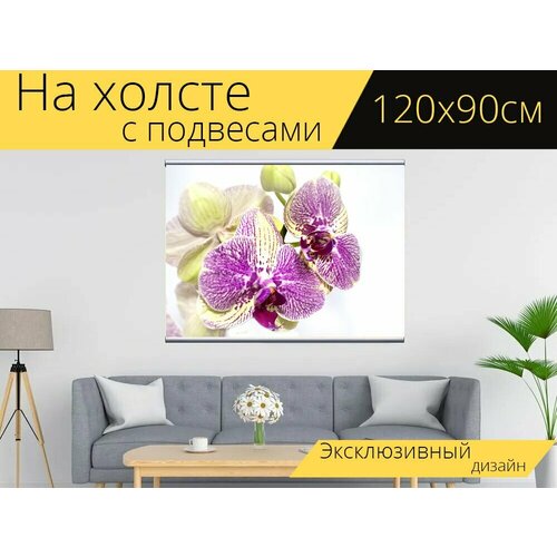 Картина на холсте "Орхидея, фаленопсис, желтый" с подвесами 120х90 см. для интерьера