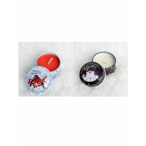 Комплект свечей в железной банке (2 шт.): «Время чудес» + "Снегири"