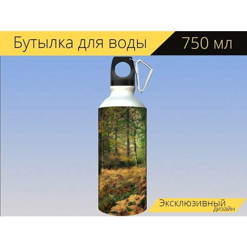 Бутылка фляга для воды "Лесной массив, лес, осень" 750 мл. с карабином и принтом