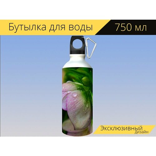 Бутылка фляга для воды "Морозник, цветок, завод" 750 мл. с карабином и принтом