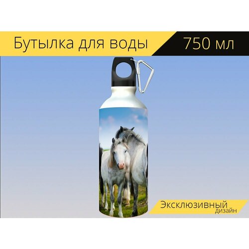 Бутылка фляга для воды "Животные, лошадь, ферма" 750 мл. с карабином и принтом