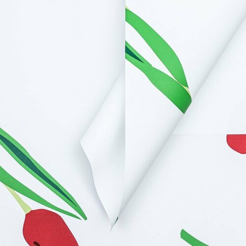 Пленка для цветов матовая, "Акварельные тюльпаны", 56х56см, бордовые (комплект из 40 шт)