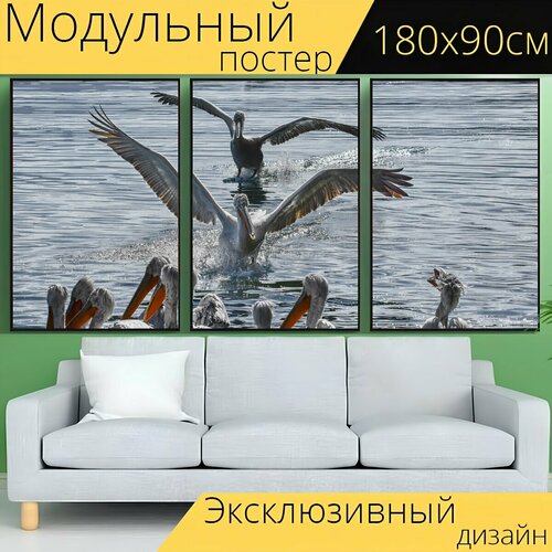 Модульный постер "Птицы, пеликаны, природа" 180 x 90 см. для интерьера