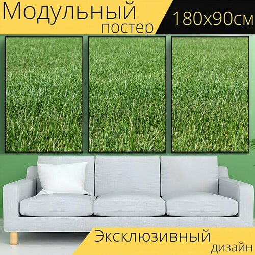 Модульный постер "Трава, поле, сенокос" 180 x 90 см. для интерьера