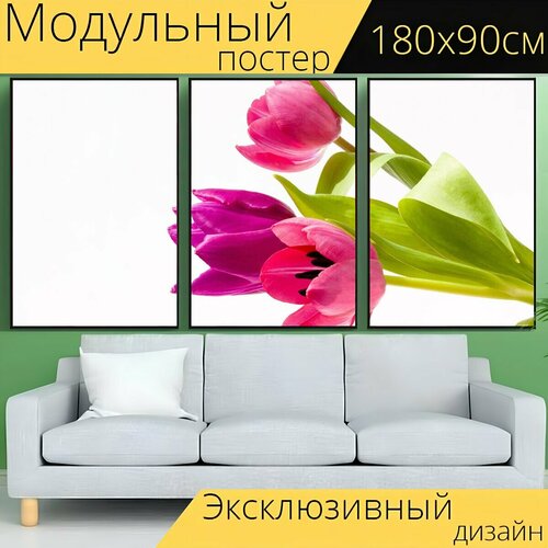Модульный постер "Тюльпаны, букет цветов, весна" 180 x 90 см. для интерьера