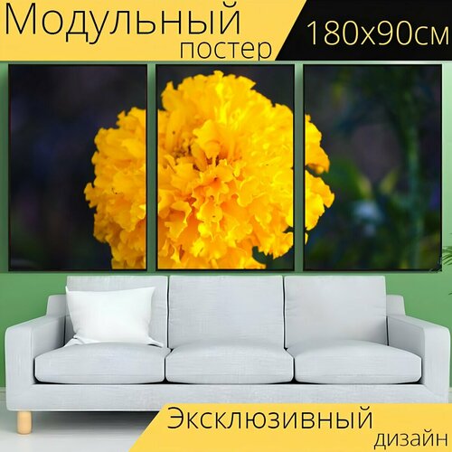 Модульный постер "Ноготки, желтый, цветок" 180 x 90 см. для интерьера