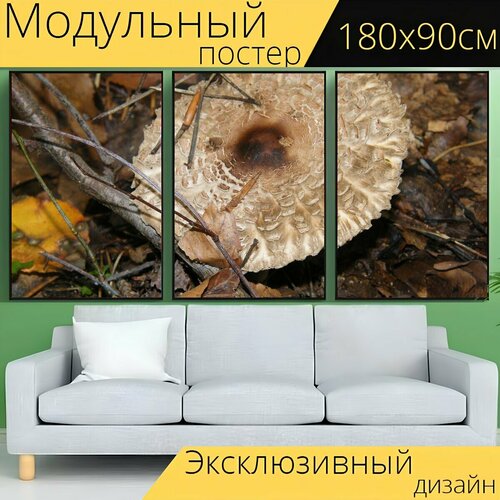 Модульный постер "Гигантский экран гриб, барабан молотки, грибы" 180 x 90 см. для интерьера