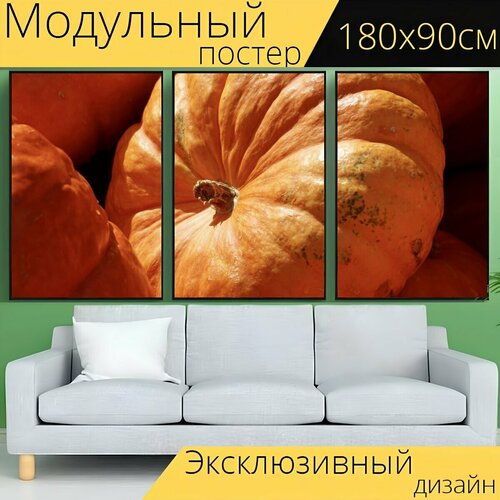 Модульный постер "Тыква, апельсин, уборка урожая" 180 x 90 см. для интерьера