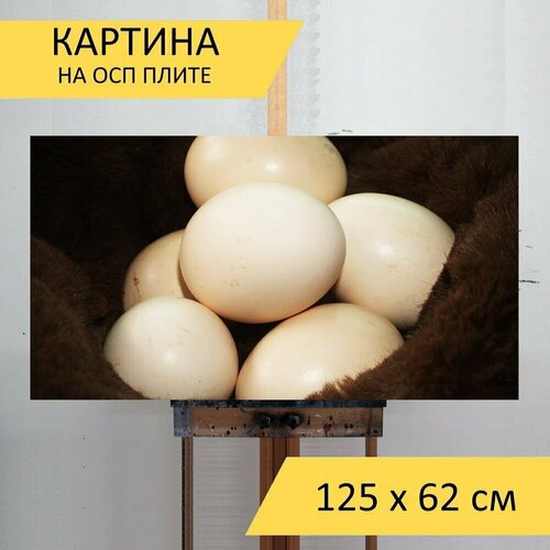 Картина на ОСП 125х62 см. "Яйцо, свежий, холестерин" горизонтальная, для интерьера, с креплениями